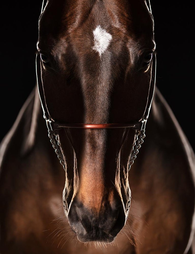 Raphael Macek - Majesty ( 53" x 40" ) For Sale at 1stDibs