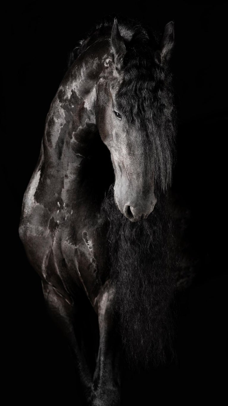 Raphael Macek - Principatus ( 53" x 40" ) For Sale at 1stDibs