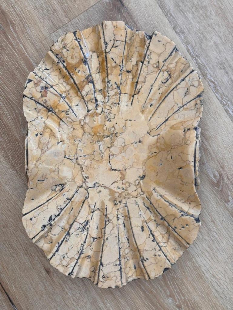Rare 18th Century Italian Shell-form Marble Serving or Display Dish For ...