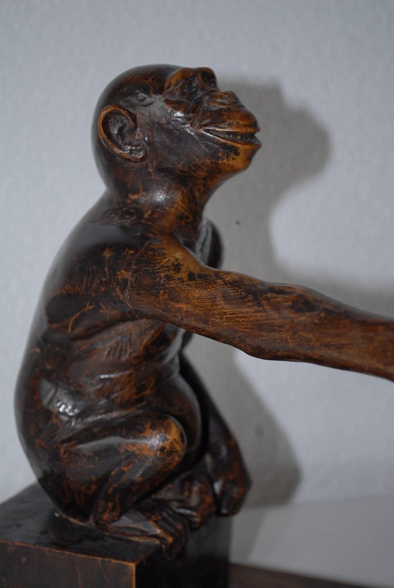 Rare and Decorative Carved Chimp, Monkey Wooden Table or Desk Lamp ...