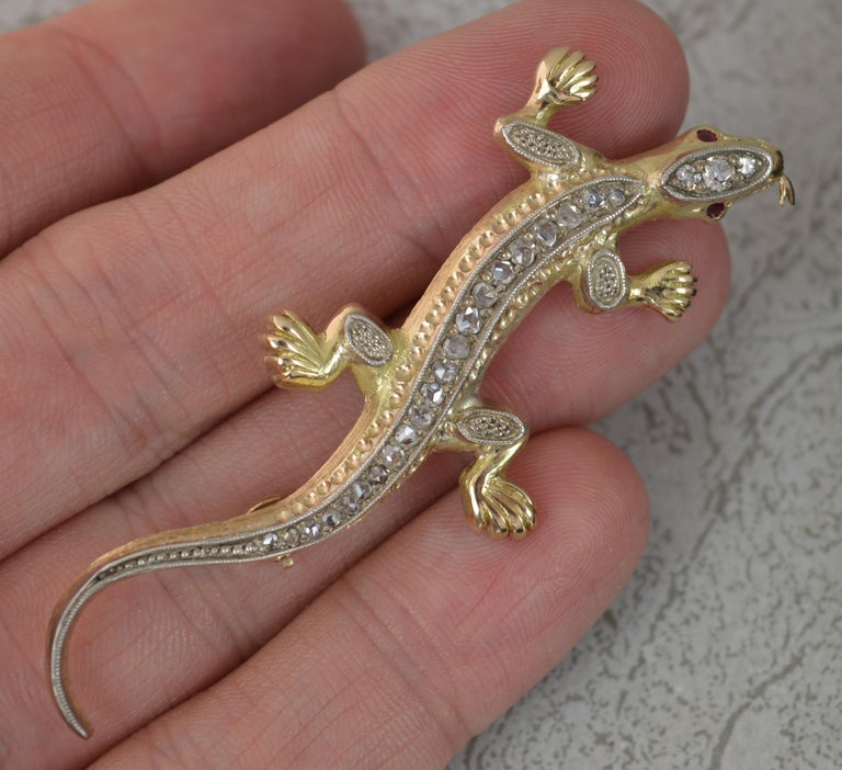 Rare Antique 14ct Gold Rose Cut Diamond and Garnet Gecko Lizard Brooch ...