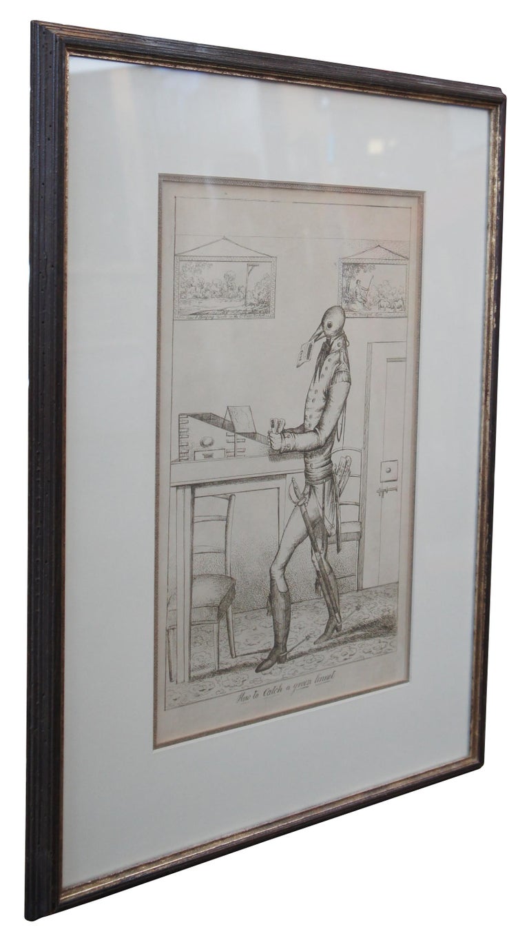 Rare Antique How to Catch a Green Linnel Bird Naval Military Officer ...