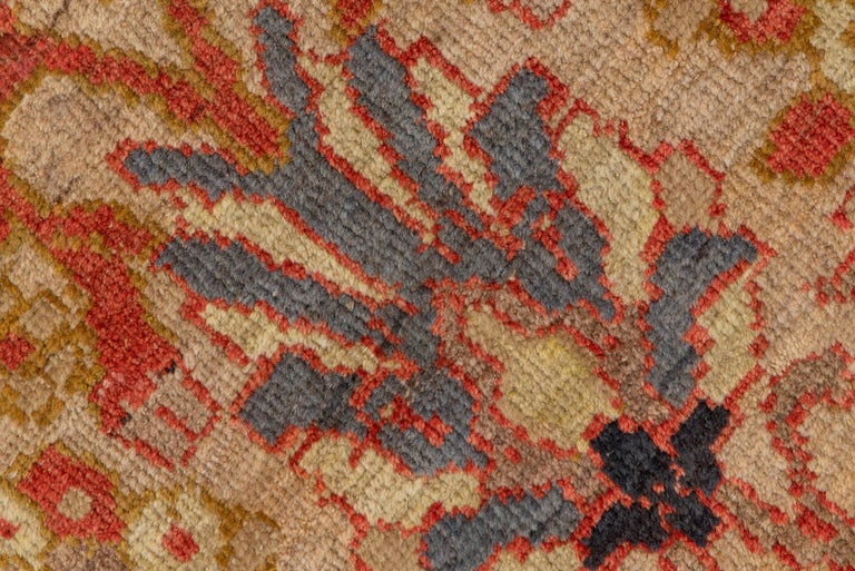 Rare Antique Persian Sultanabad Carpet, circa 1890s For Sale at 1stDibs