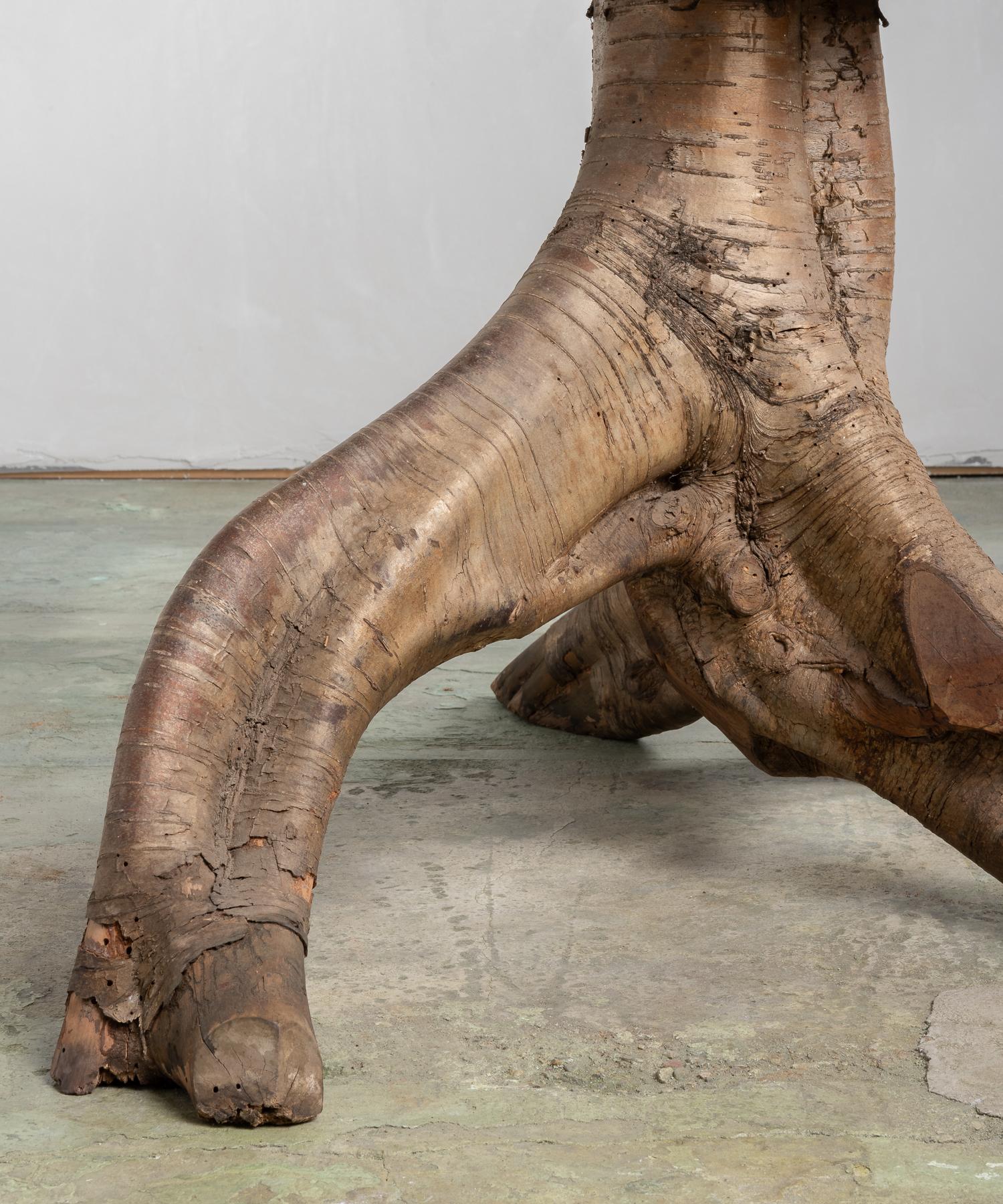 Rare Burl Wood Table, America, circa 1920 at 1stDibs