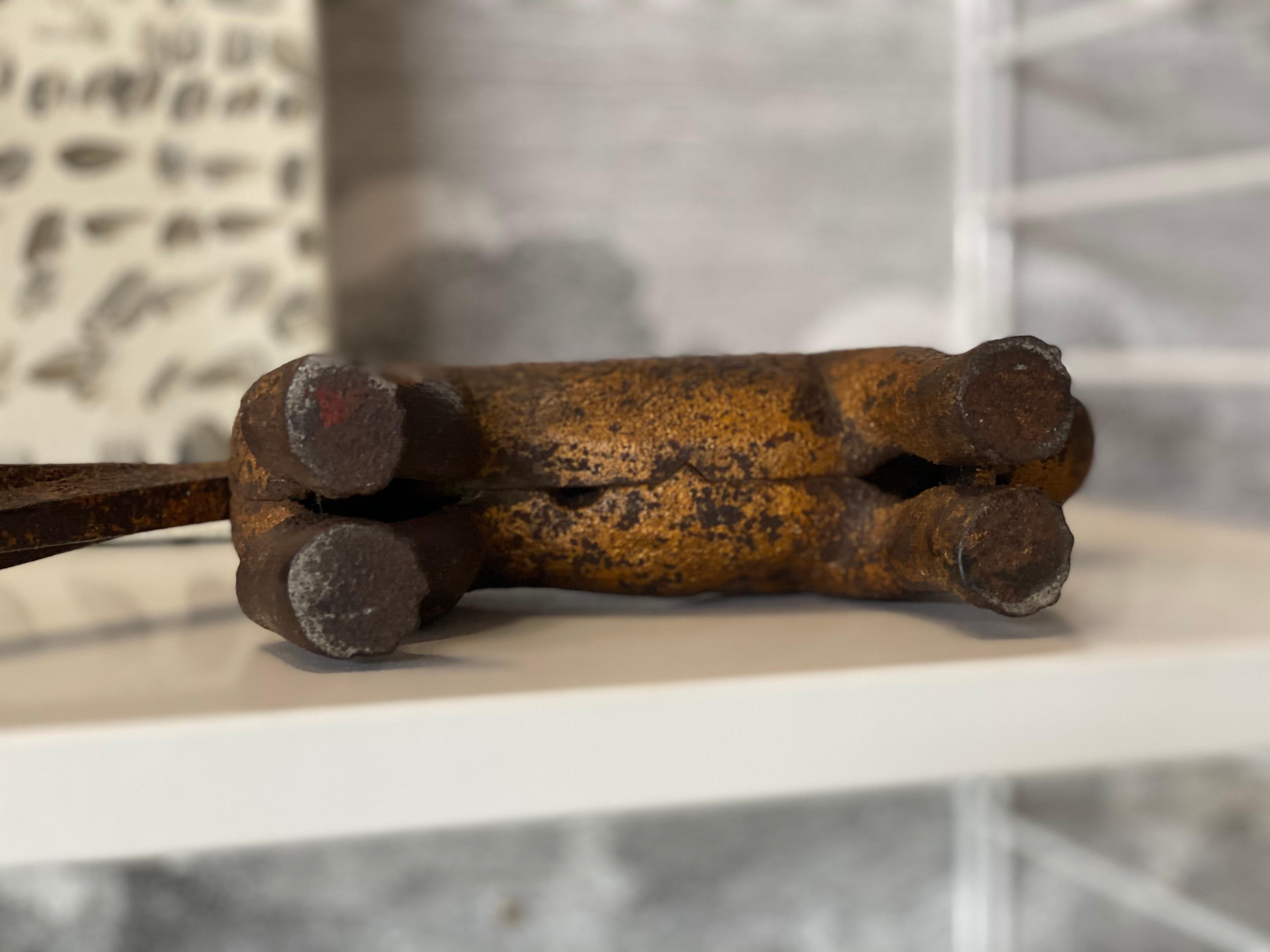 Rare Cast Iron Nutcracker "dog", England Beginning of 20th Century For ...