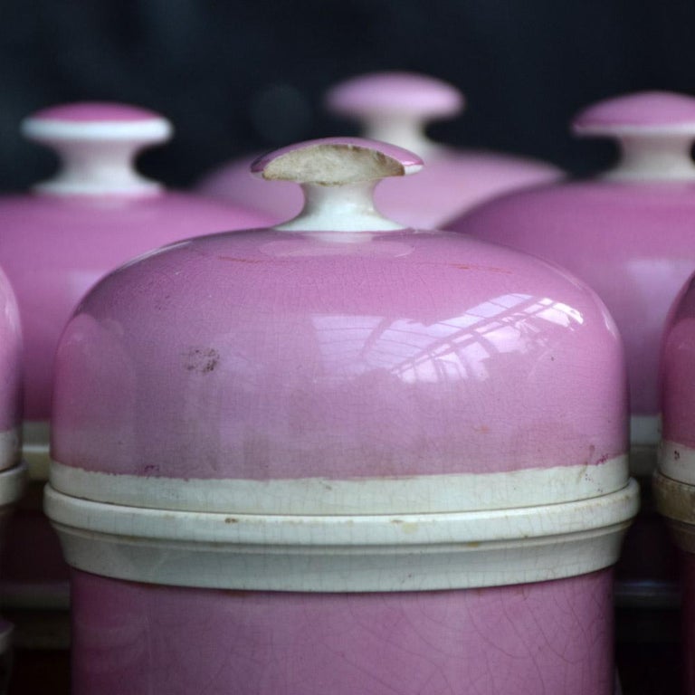 Rare Collection of Puce Pink Ground Porcelain Apothecary Jars, circa ...