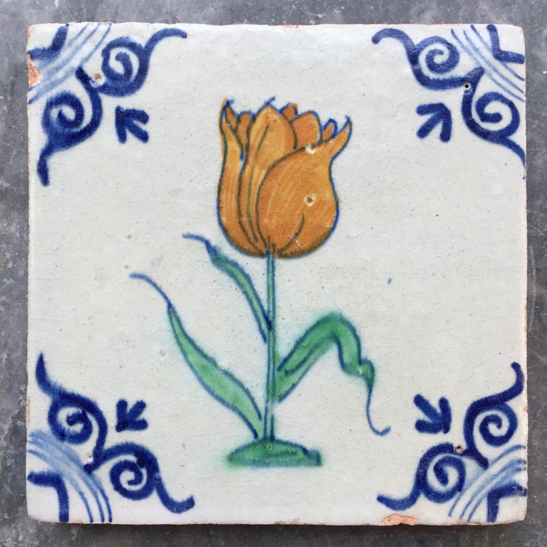 Rare Dutch Delft Tulip Tile, Early 17th Century at 1stDibs