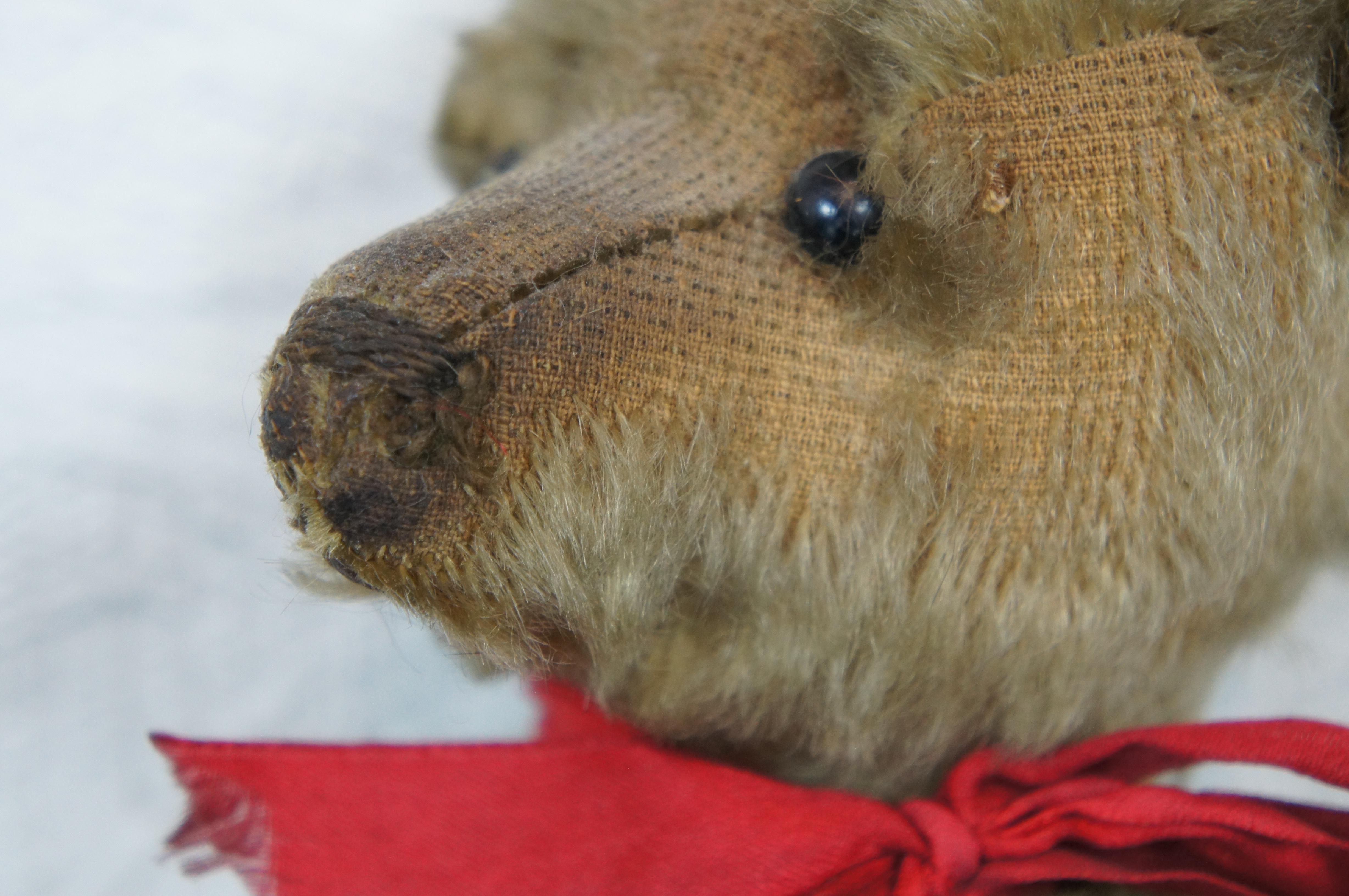 Rare Early 1900s Antique Steiff Hunchback German Teddy Bear Mohair ...