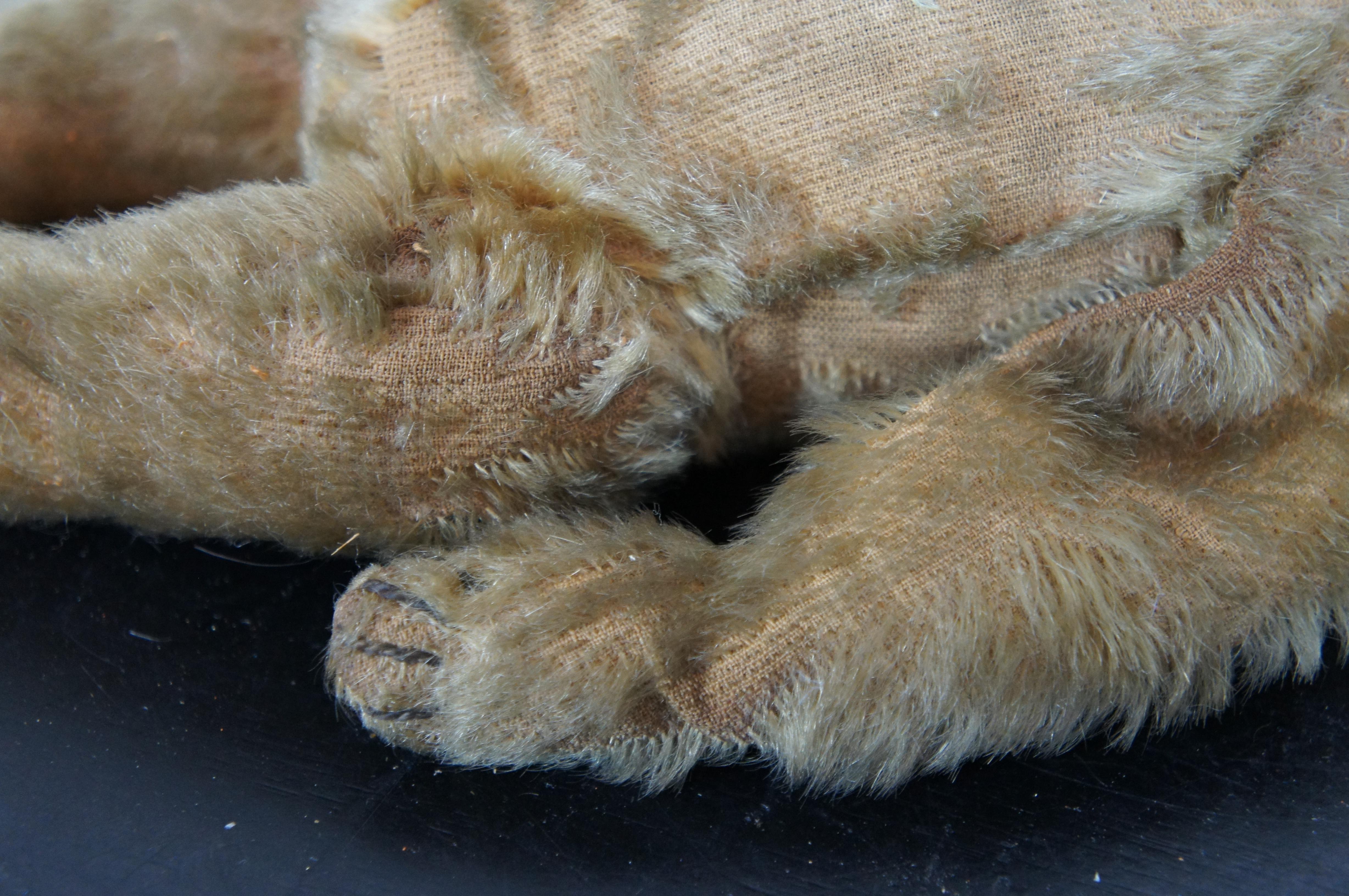 Rare Early 1900s Antique Steiff Hunchback German Teddy Bear Mohair ...