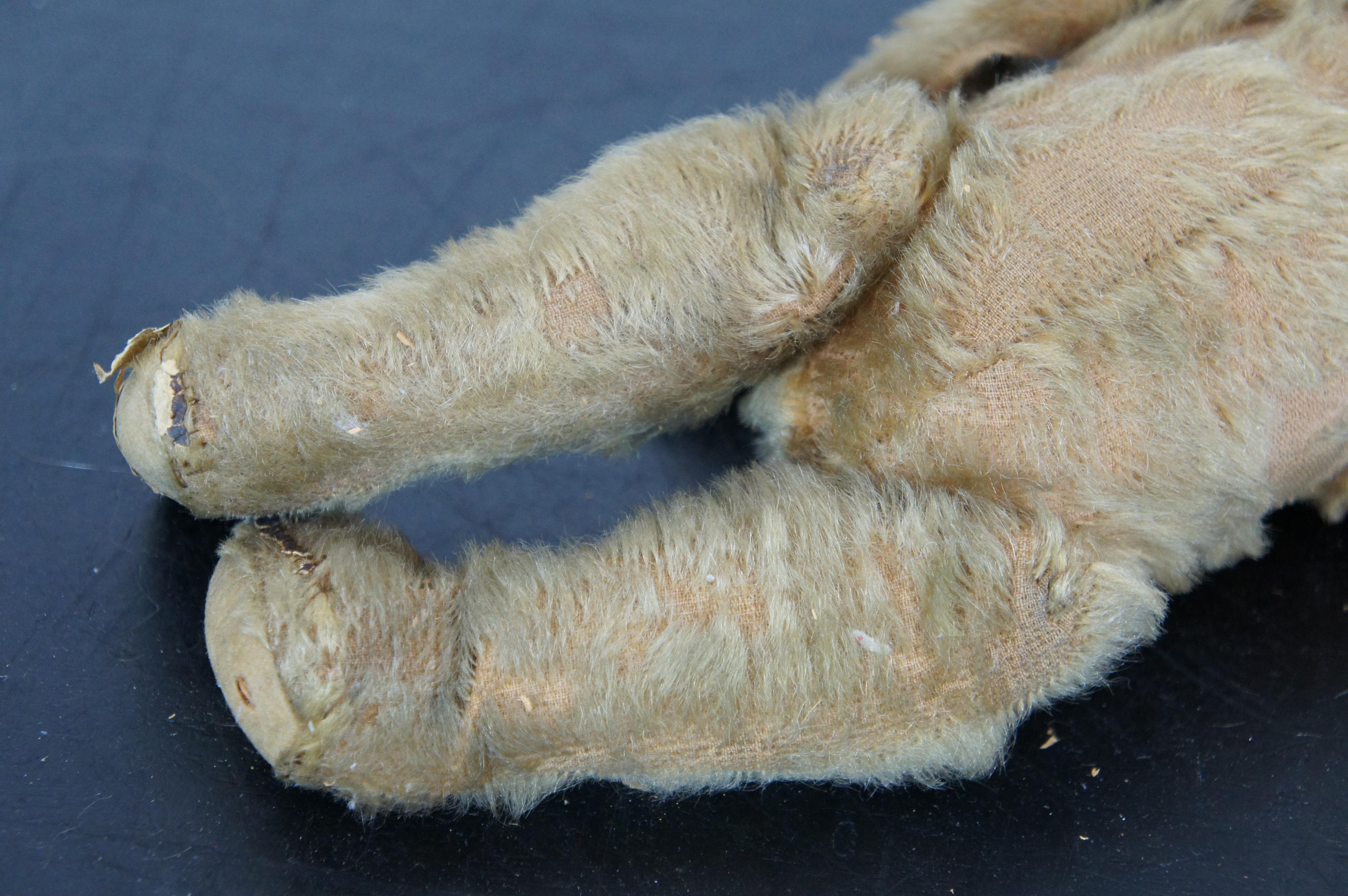 Rare Early 1900s Antique Steiff Hunchback German Teddy Bear Mohair ...