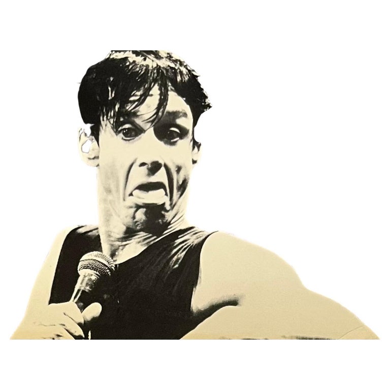 Rare early 1980s Iggy Pop Announcement For Sale at 1stDibs