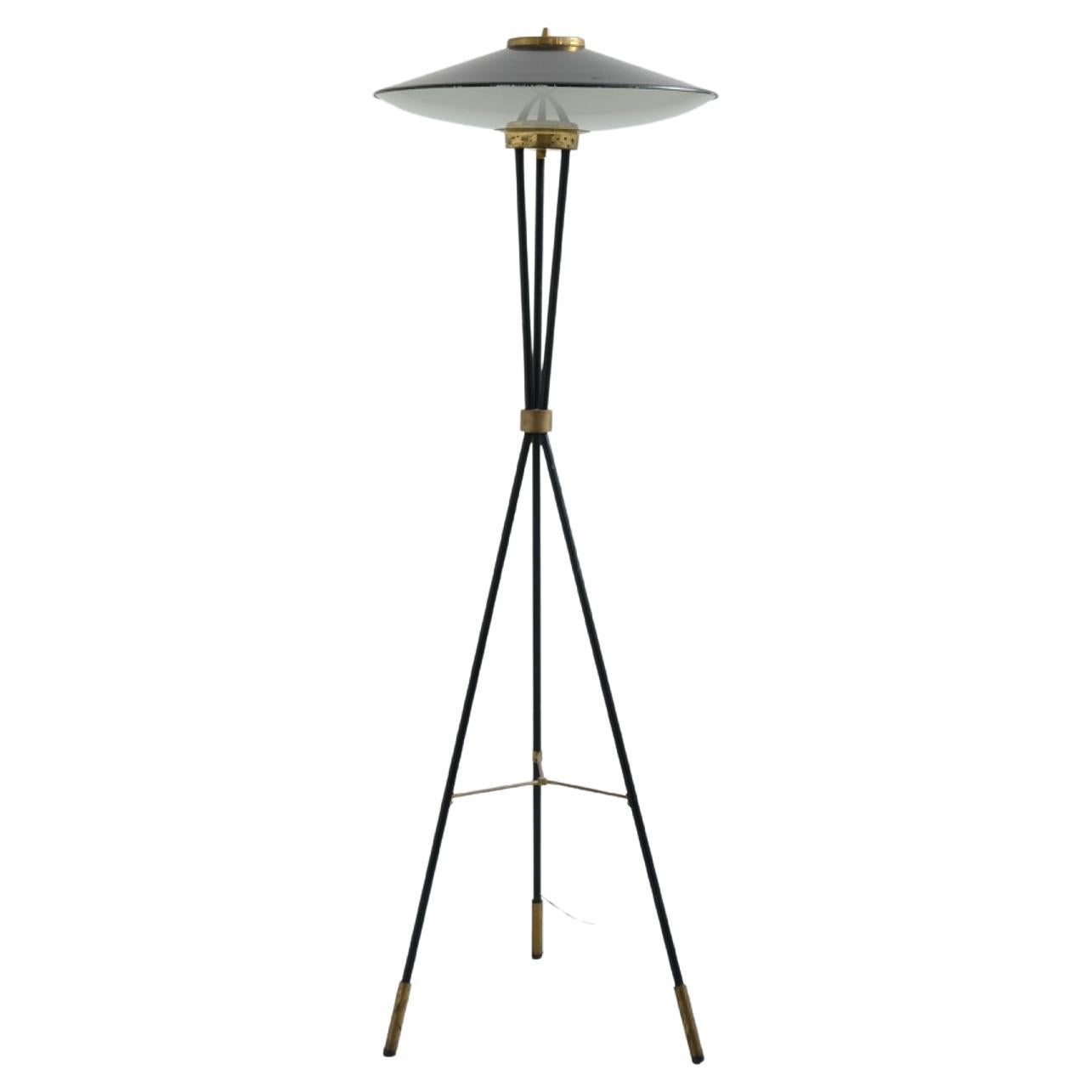 Rare Floor Lamp with Lacquered Metal Structure, Stilnovo Manufacture ...