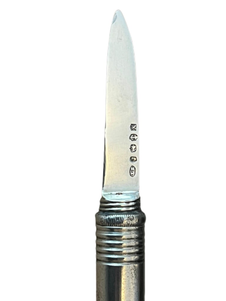 Rare George IV Silver Combination Apple Corer and Paring Knife For Sale ...