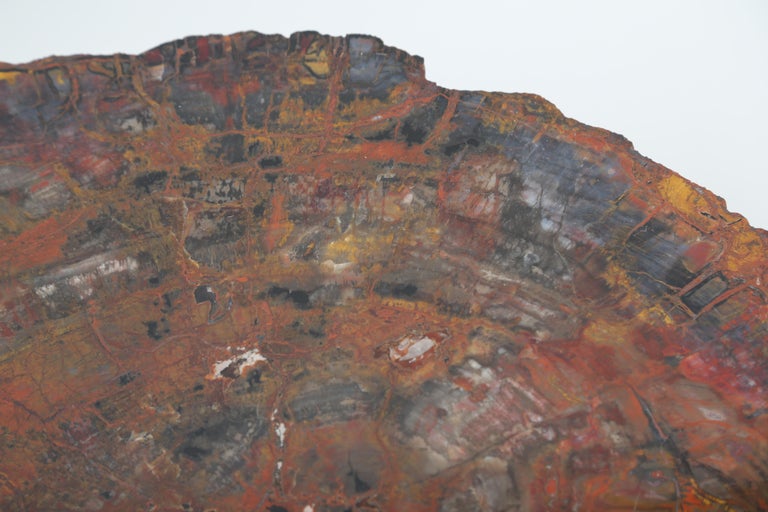 Rare Karl Springer Offset Petrified Wood Table at 1stDibs