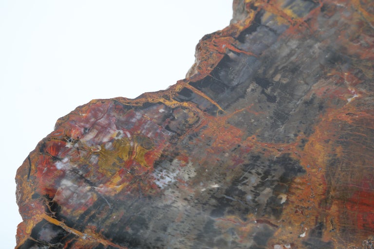 Rare Karl Springer Offset Petrified Wood Table at 1stDibs