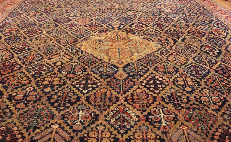 Rare Large 18th Century Antique Kurdish Shrub Design Rug. Size: 12' 8 ...