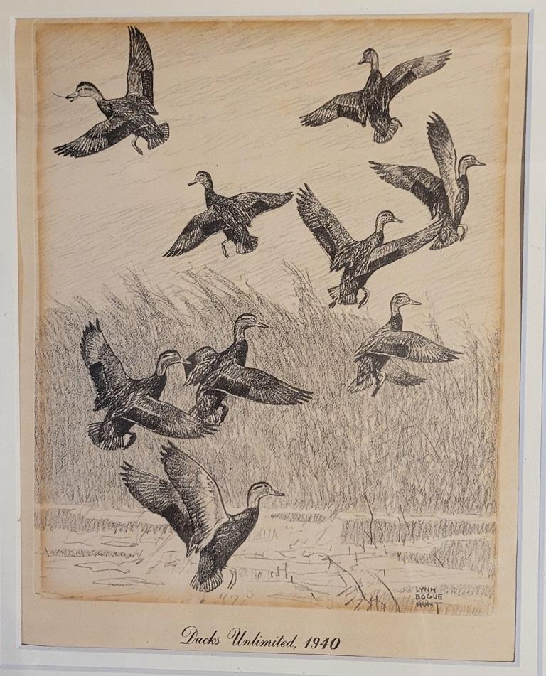 ducks unlimited coloring pages