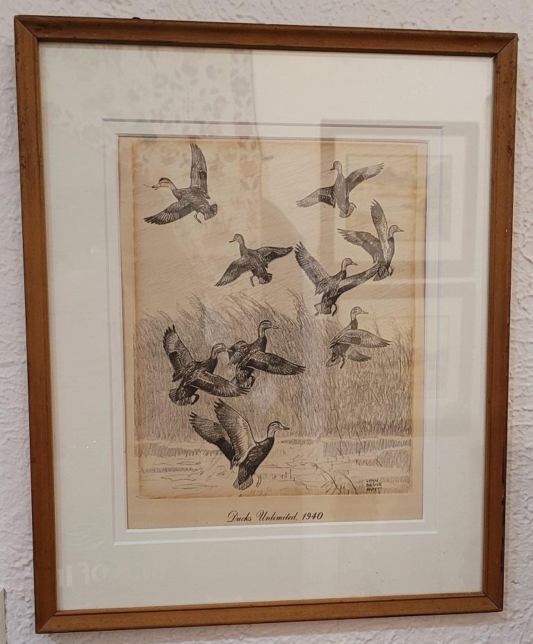 ducks unlimited coloring pages