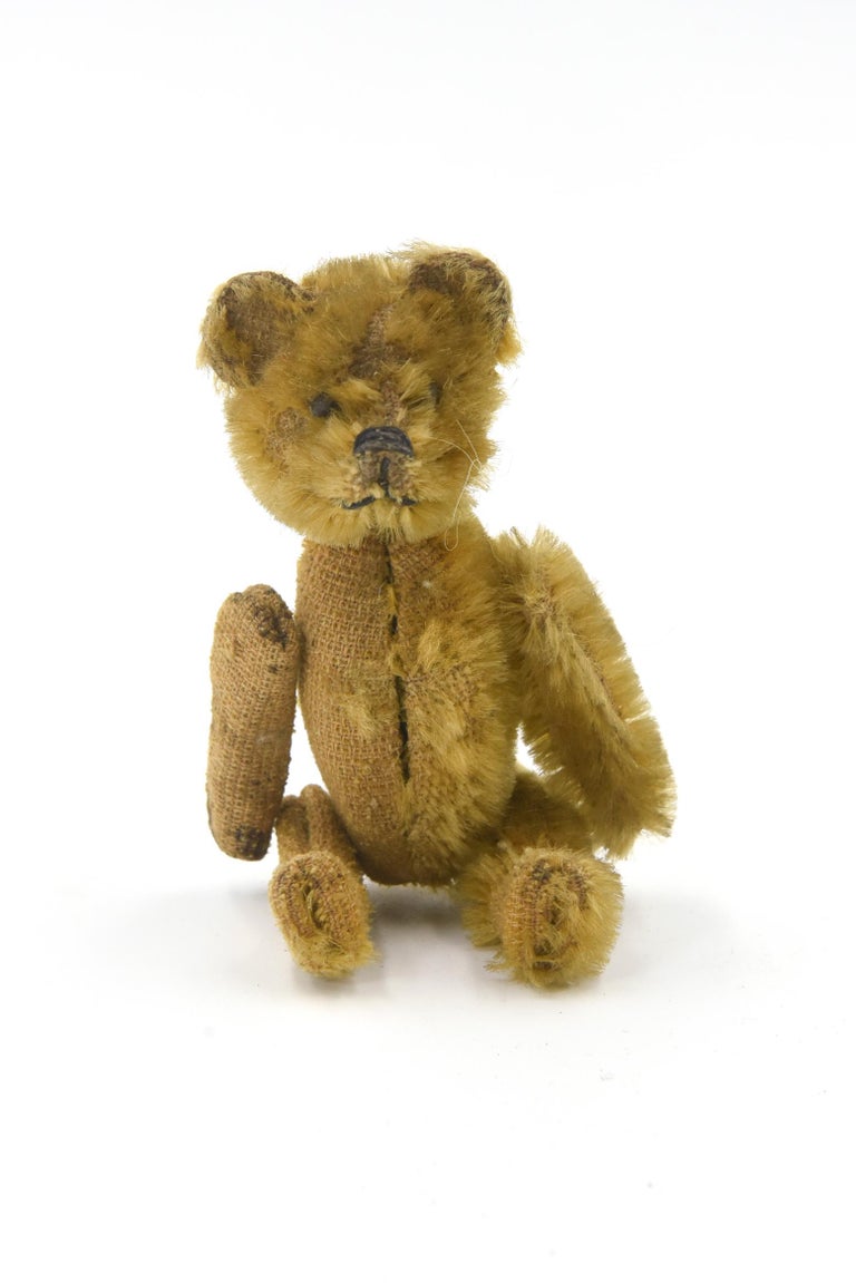 Rare Miniature Schuco 1920''s Teddy Bear Compact at 1stDibs | 1920s ...