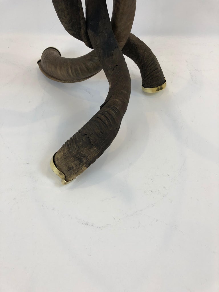 Rare Organic Handmade Kudo Horn Based Coffee Table For Sale at 1stDibs