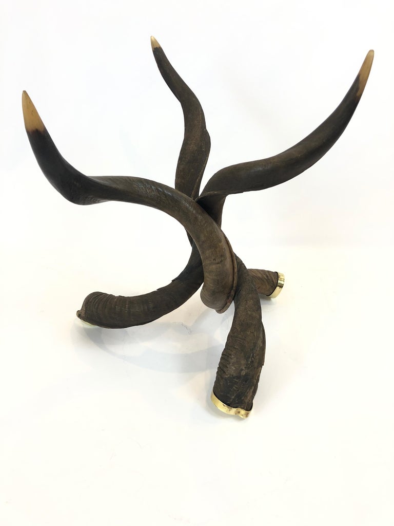 Rare Organic Handmade Kudo Horn Based Coffee Table For Sale at 1stDibs