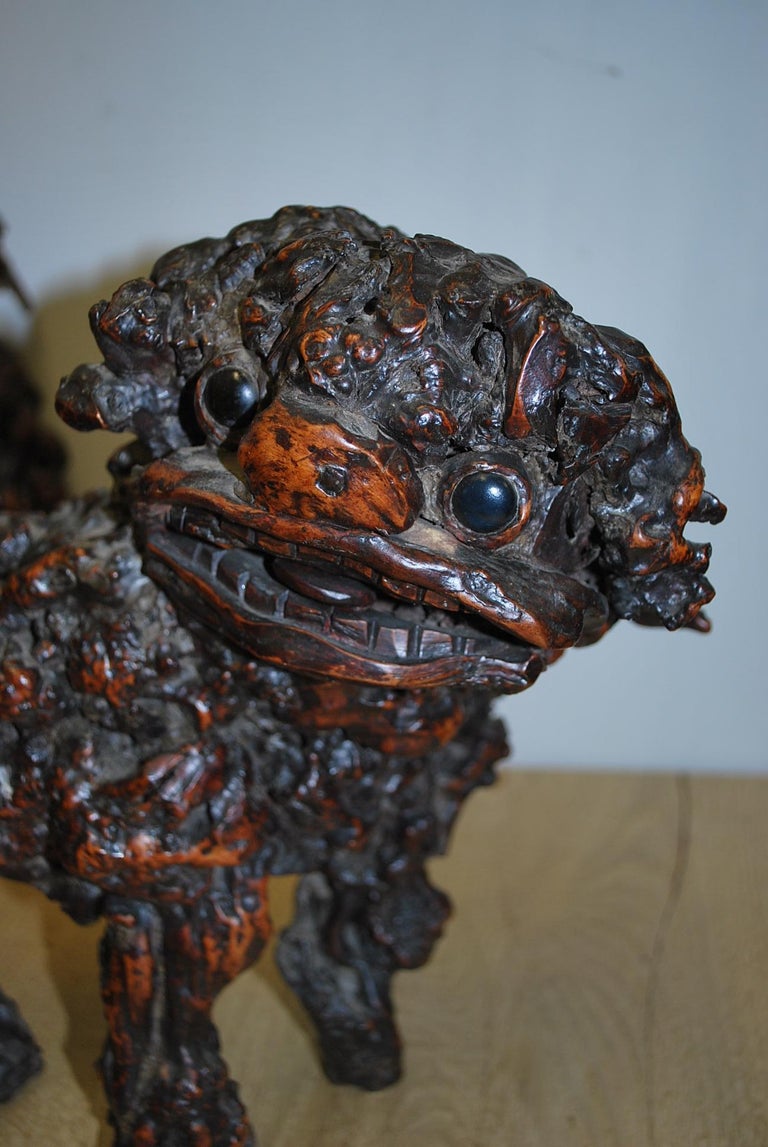 Rare pair of 18th century Antique Chinese Root Wood Foo Dogs For Sale ...