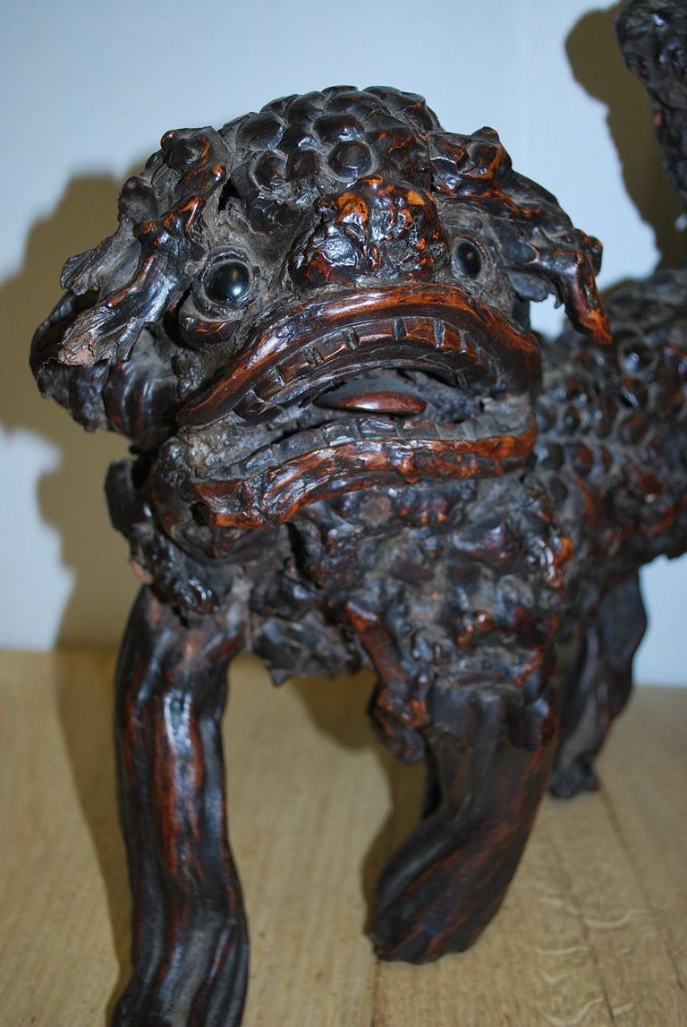 Rare pair of 18th century Antique Chinese Root Wood Foo Dogs For Sale ...
