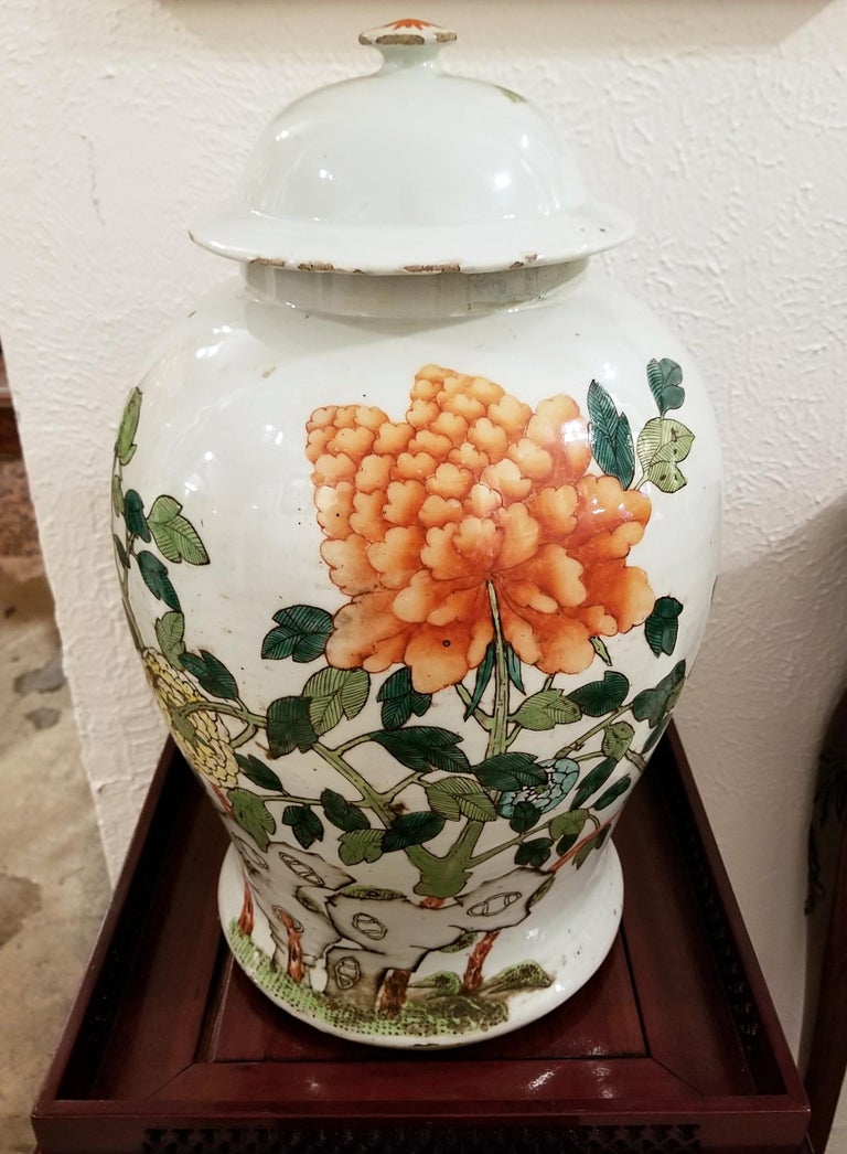 Rare Pair of Antique Chinese Lidded Ginger Jars at 1stDibs