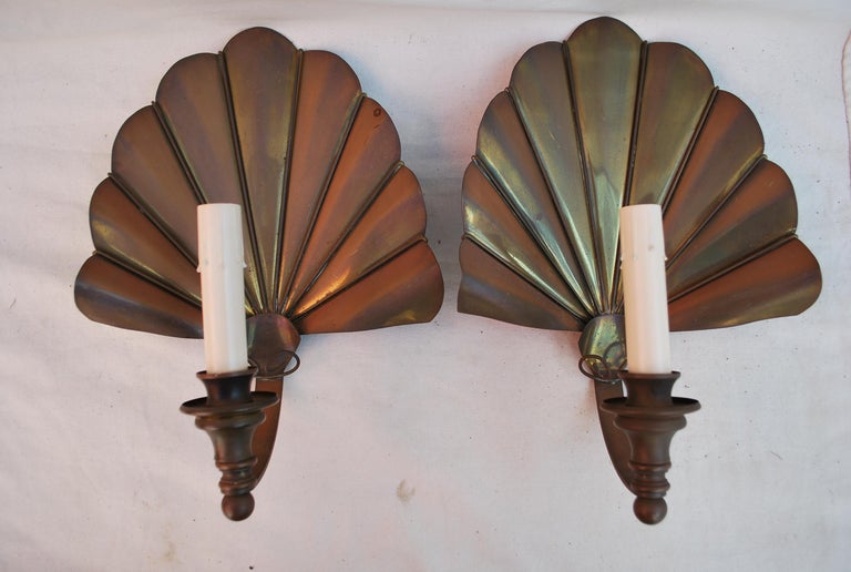 Rare Pair of Turn of the Century Shell Sconces For Sale at 1stDibs