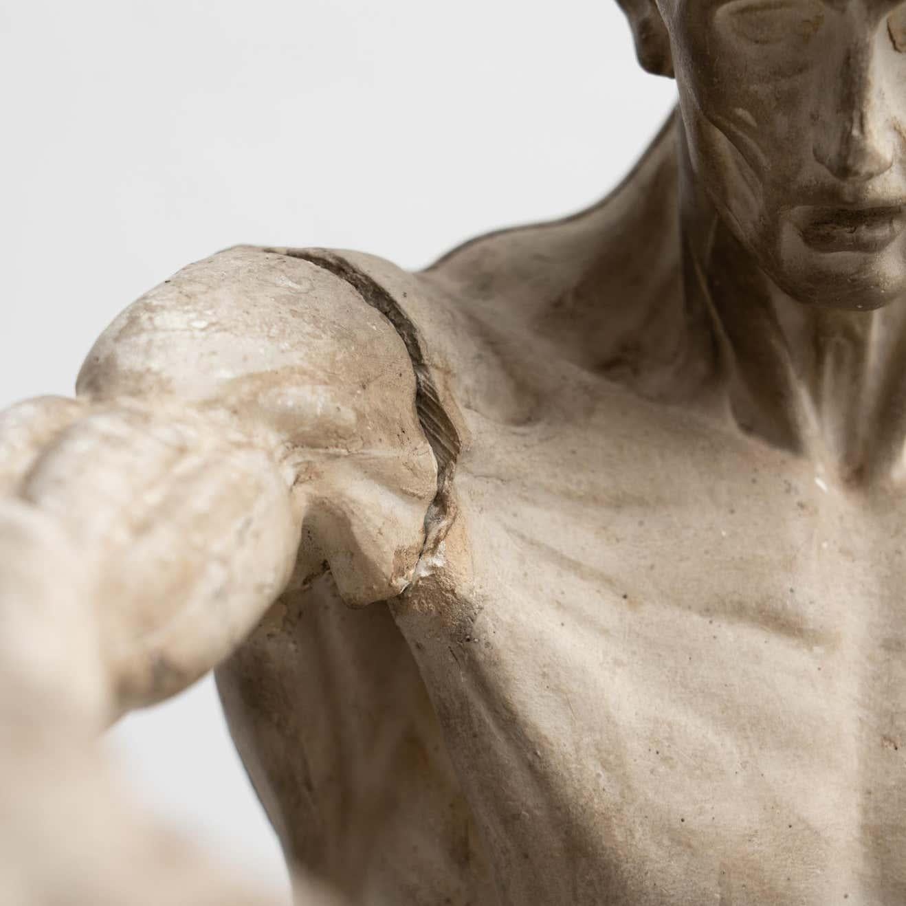 Rare Plaster Traditional Anatomic Sculpture, circa 1930 For Sale at 1stDibs