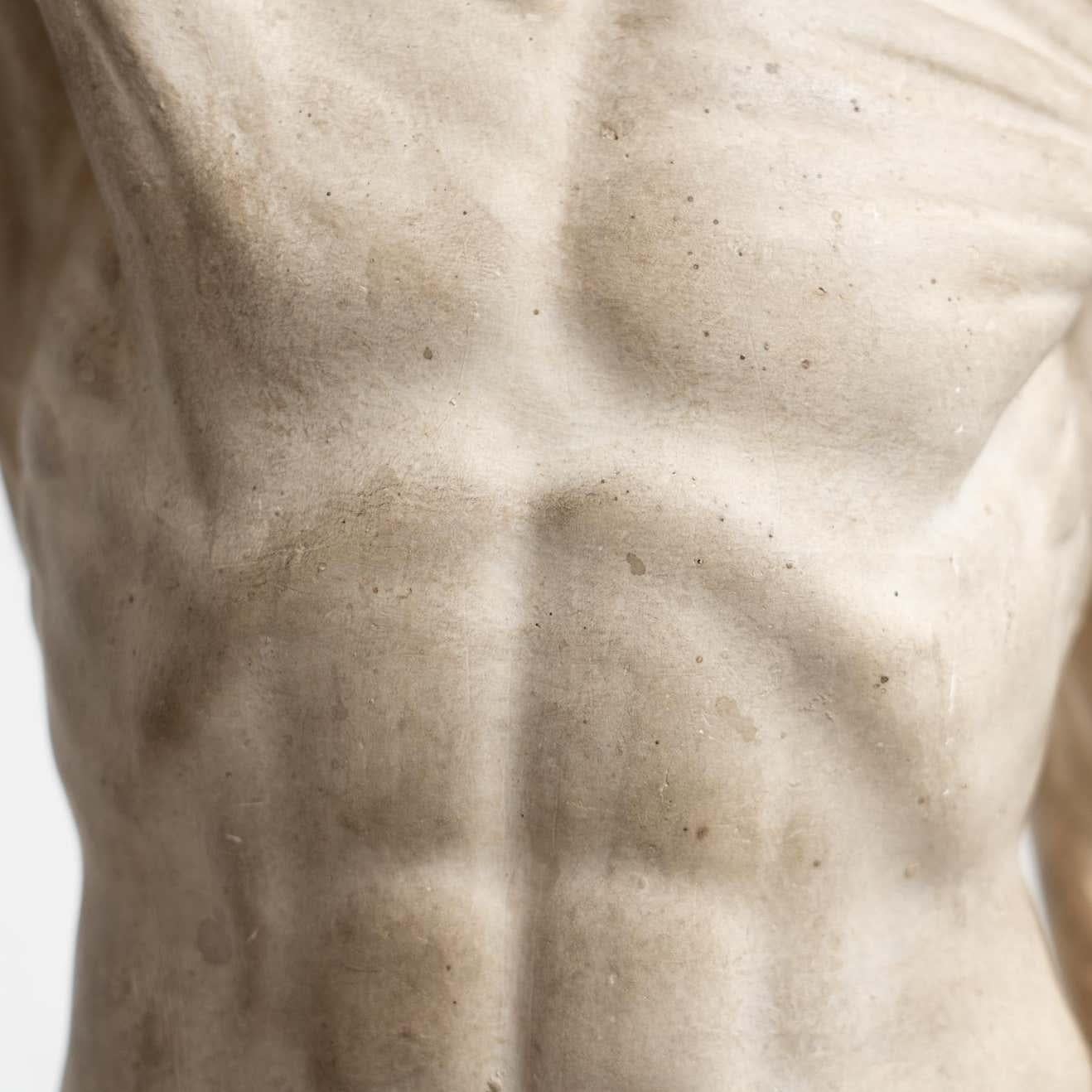 Rare Plaster Traditional Anatomic Sculpture, circa 1930 For Sale at 1stDibs