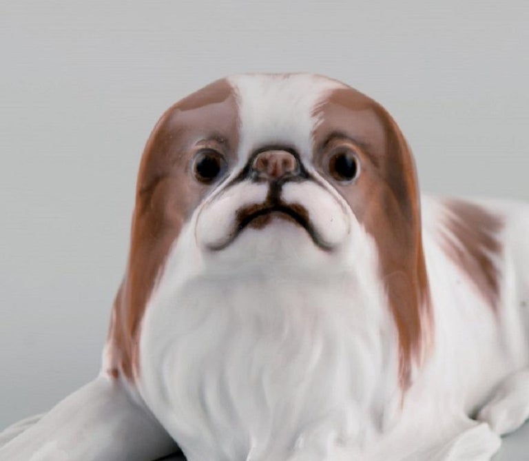 Rare Royal Copenhagen Porcelain Figurine, Pekingese, 1920s For Sale at ...
