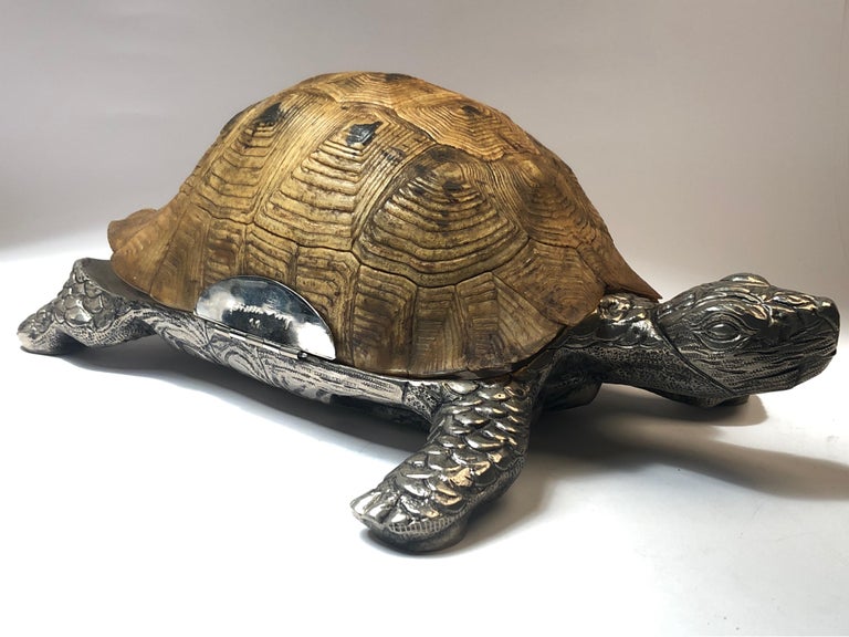 Rare Signed Gabriella Crespi Large Real Turtle Shell Box Silver ...