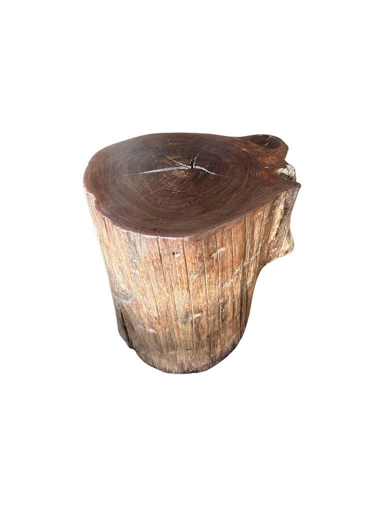 Raw Organic Solid Iron Wood Side Table For Sale at 1stDibs