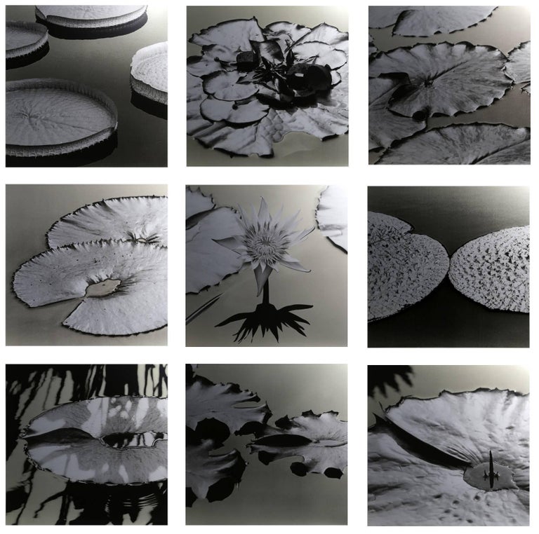 Ray Charles White - Lillias (9 Piece Installation) For Sale at 1stDibs