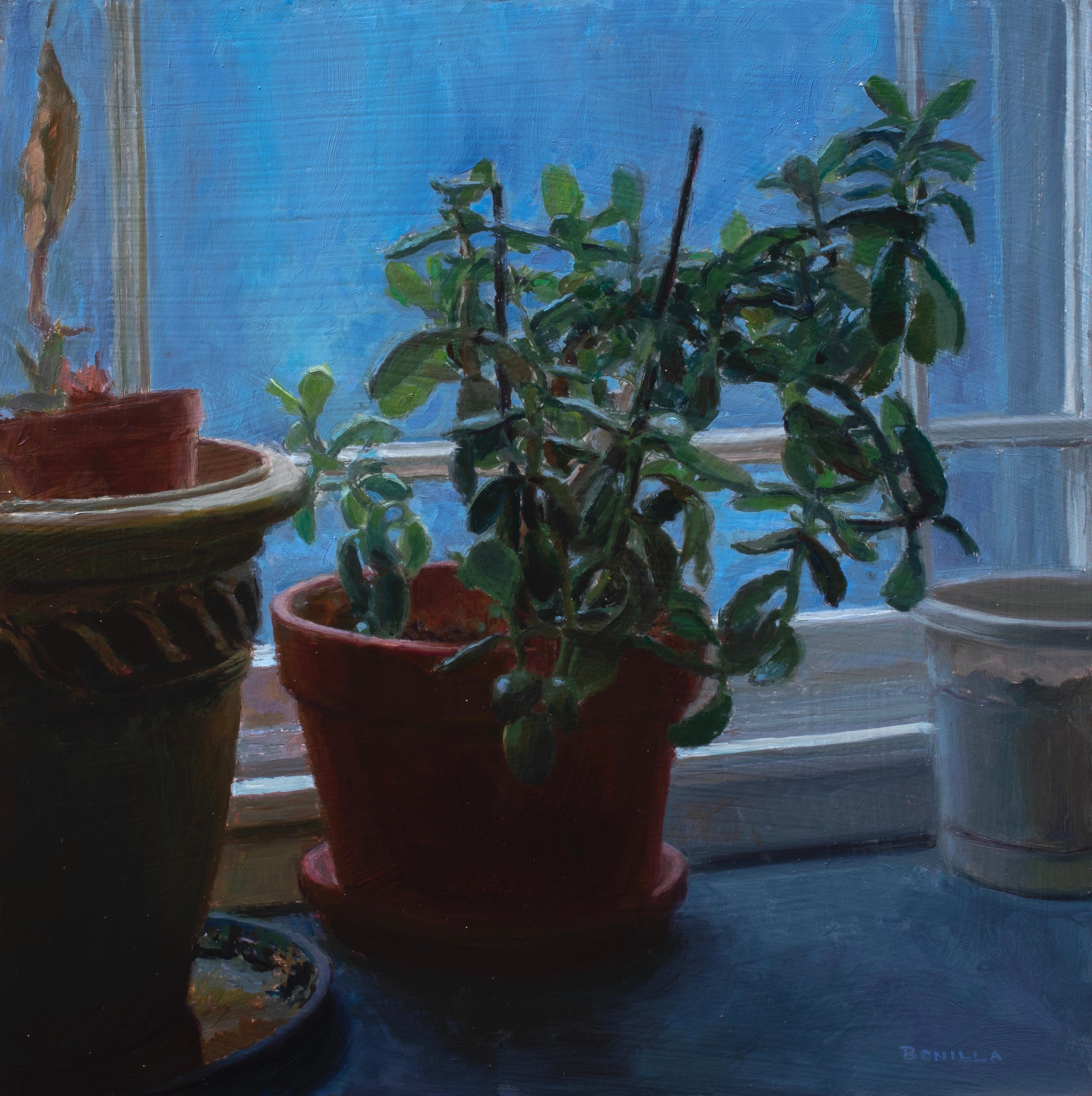 Raymond Bonilla - "Lost Summer" Oil Painting For Sale at 1stDibs ...