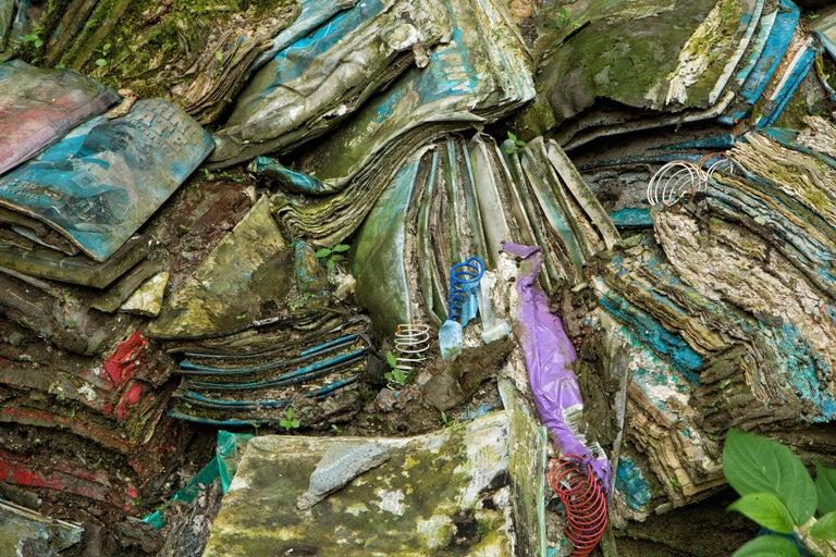 Rebecca Skinner - "Book Beauty IV", color photograph, abandoned school ...