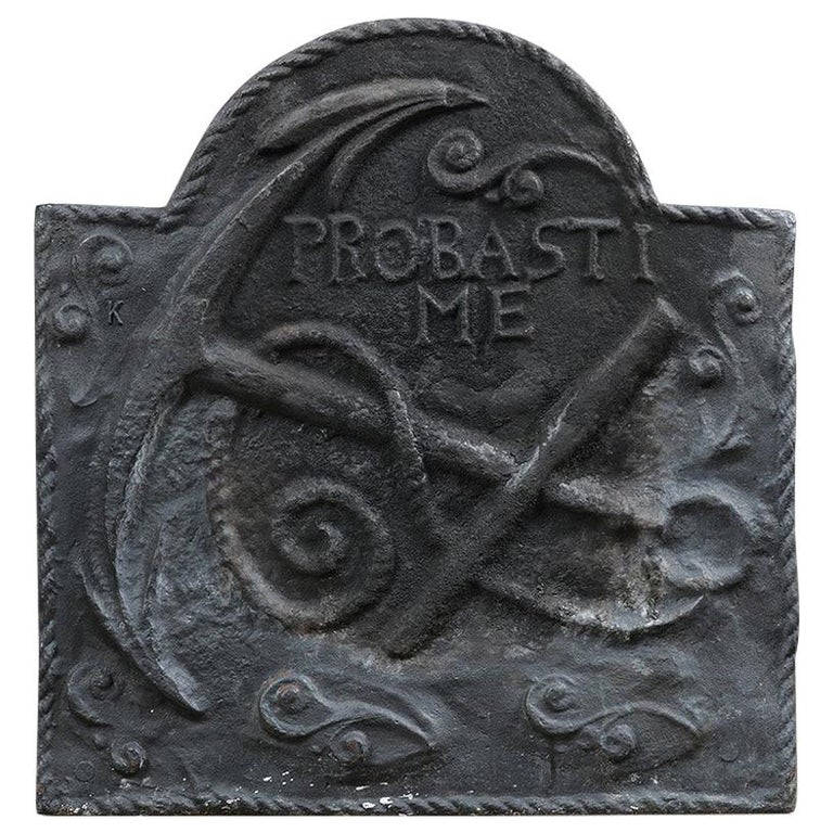 Reclaimed Small Cast Iron Fire Back, 20th Century For Sale at 1stDibs