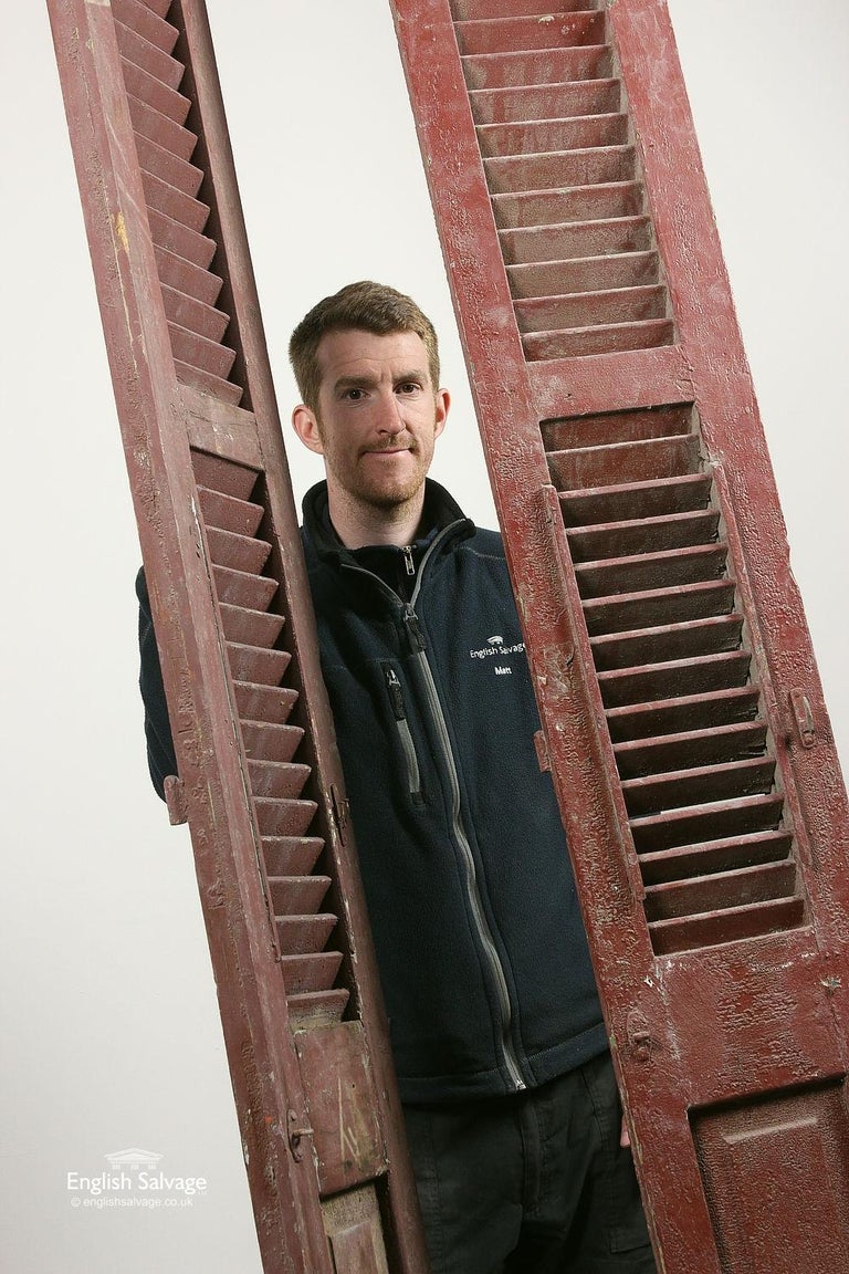 Reclaimed Tall Painted Narrow Shutters, 20th Century For Sale at 1stDibs