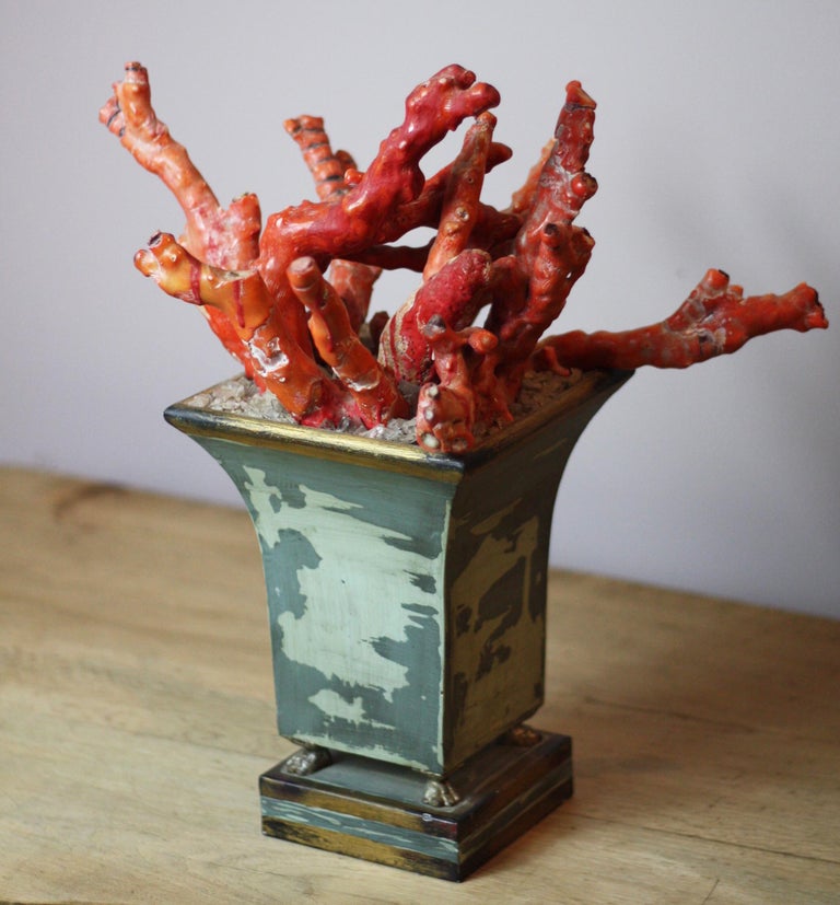 Red Chinese Bamboo Coral Set in Cast Planters at 1stDibs