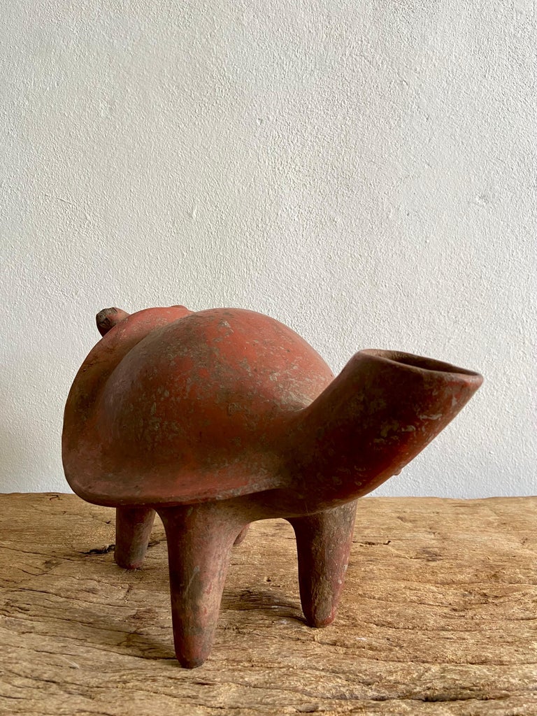 Red Clay Armadillo Figure from Colima, Mexico, circa 7th Century For ...