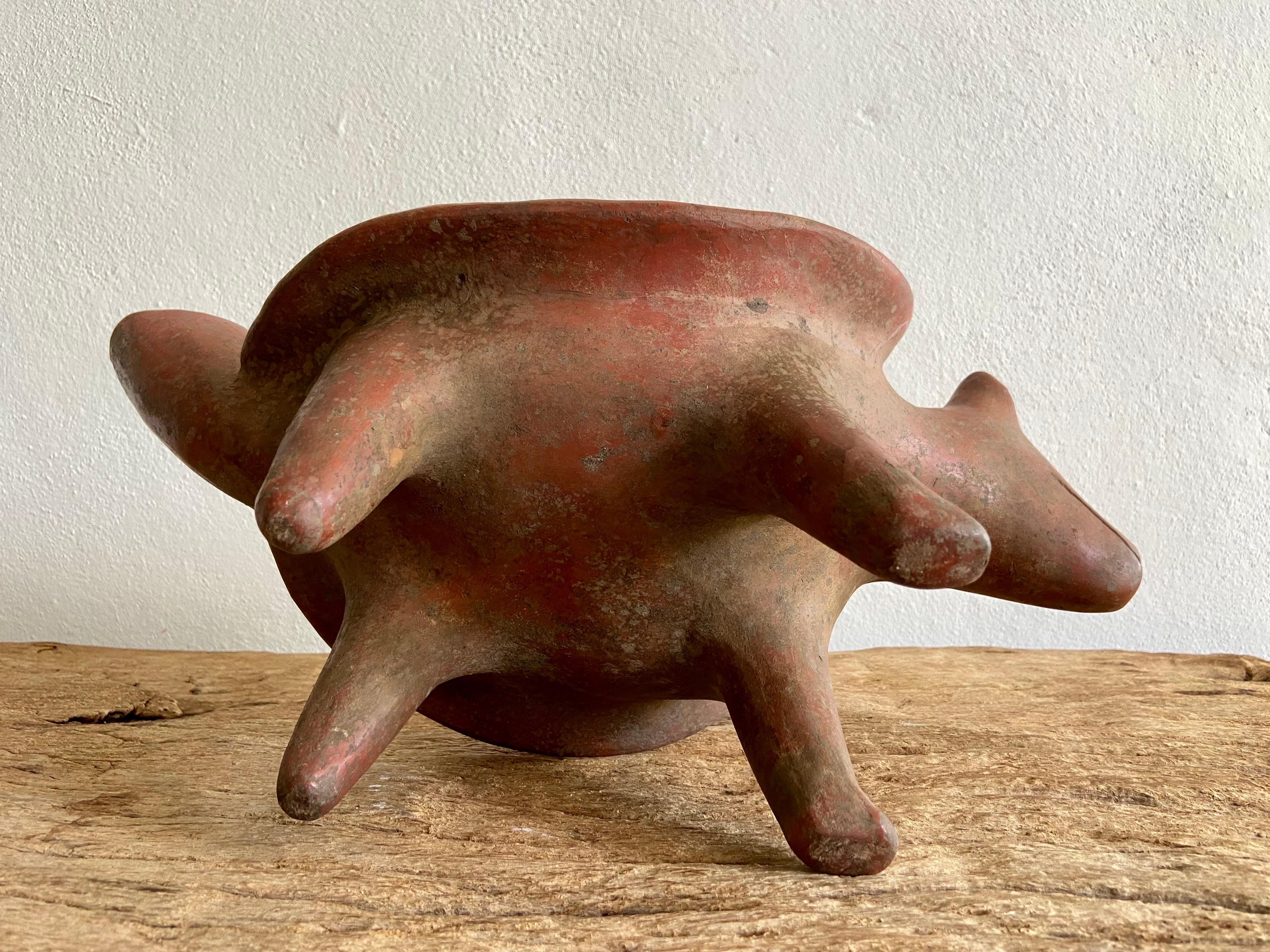 Red Clay Armadillo Figure from Colima, Mexico, circa 7th Century For ...