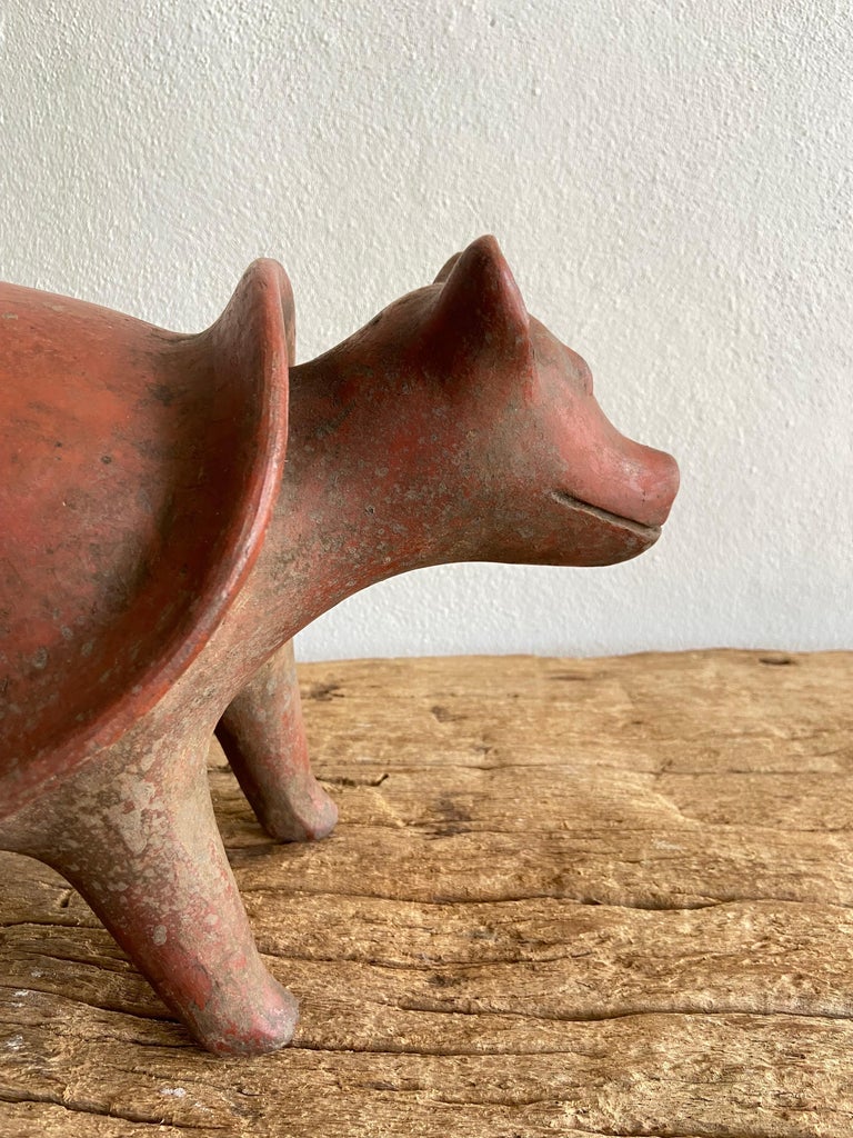 Red Clay Armadillo Figure from Colima, Mexico, circa 7th Century For ...