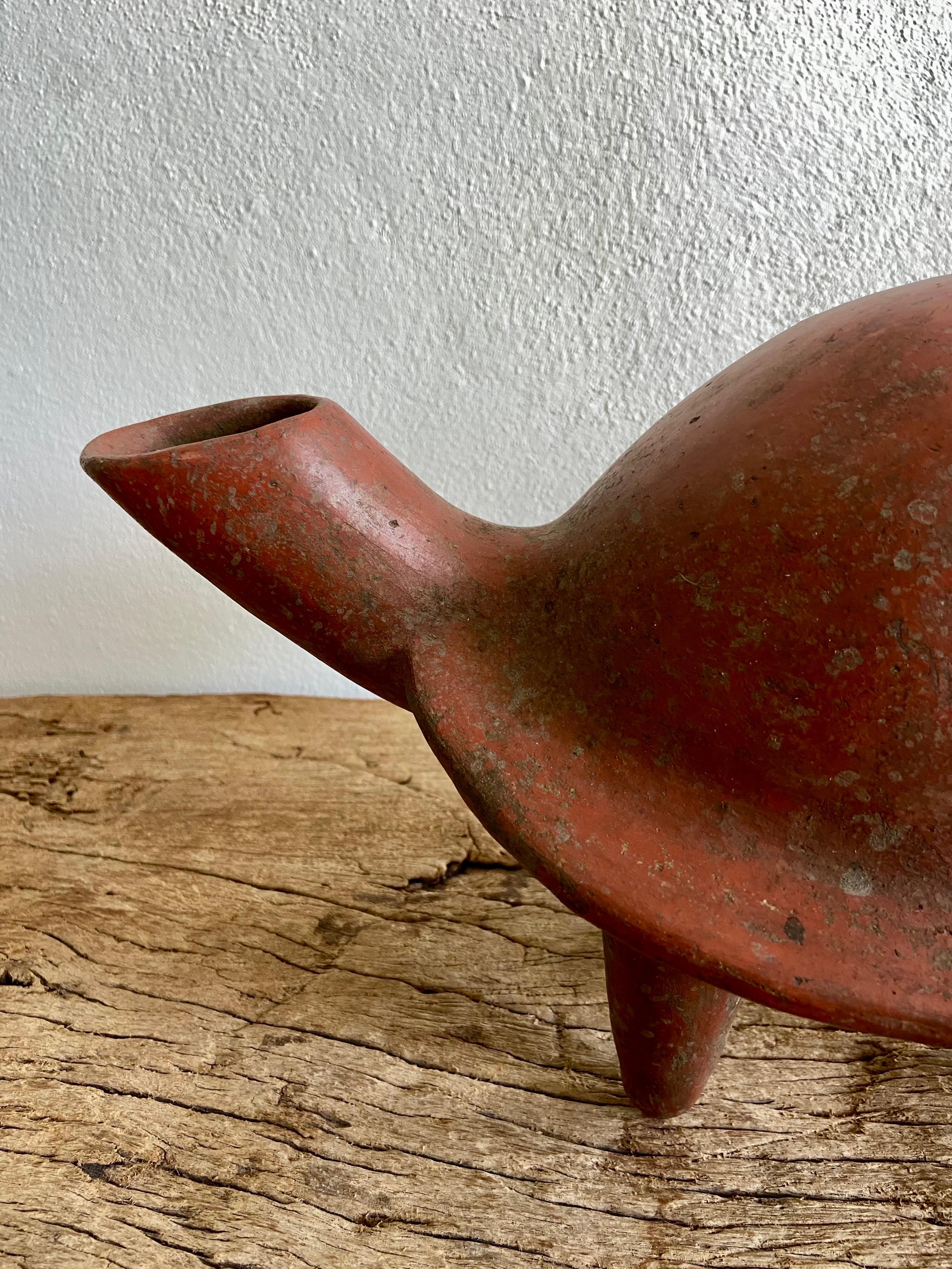 Red Clay Armadillo Figure from Colima, Mexico, circa 7th Century For ...