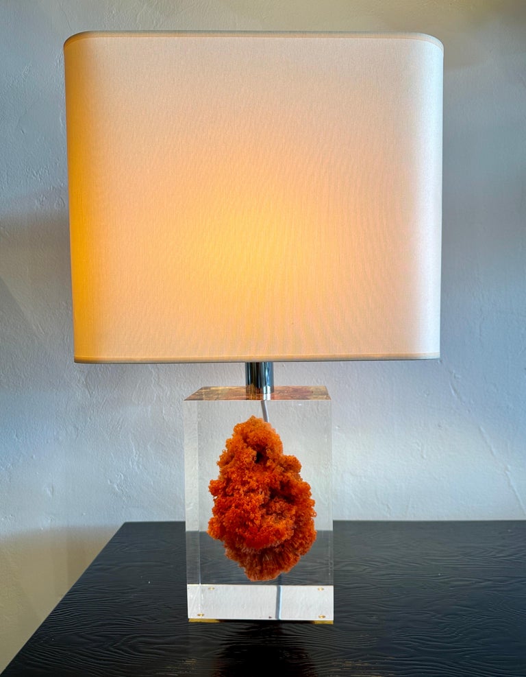 Red Coral Specimen Floating in Lucite Block Table Lamp For Sale at 1stDibs