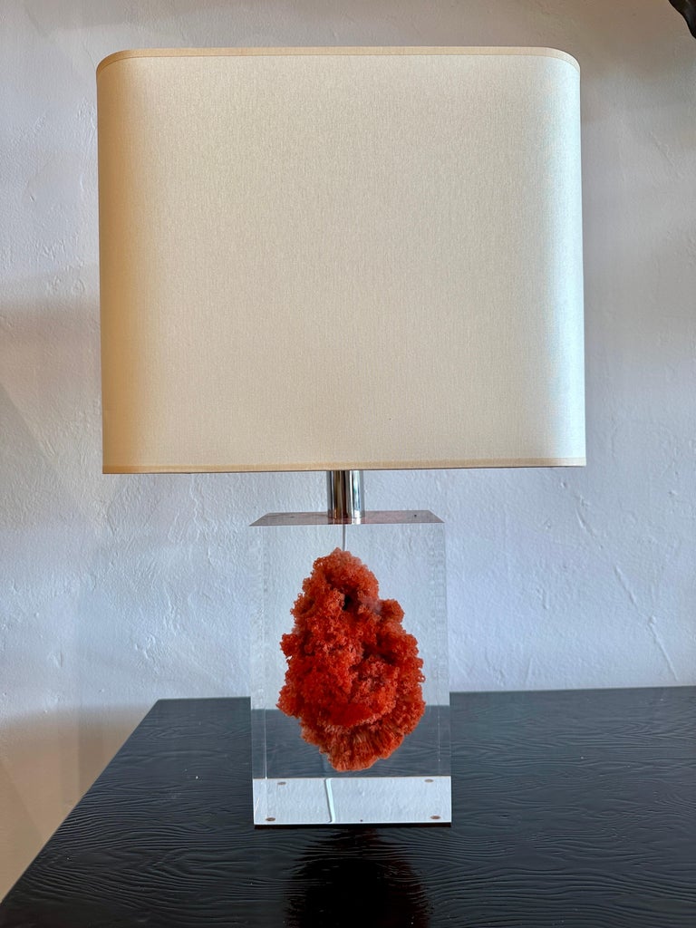 Red Coral Specimen Floating in Lucite Block Table Lamp For Sale at 1stDibs