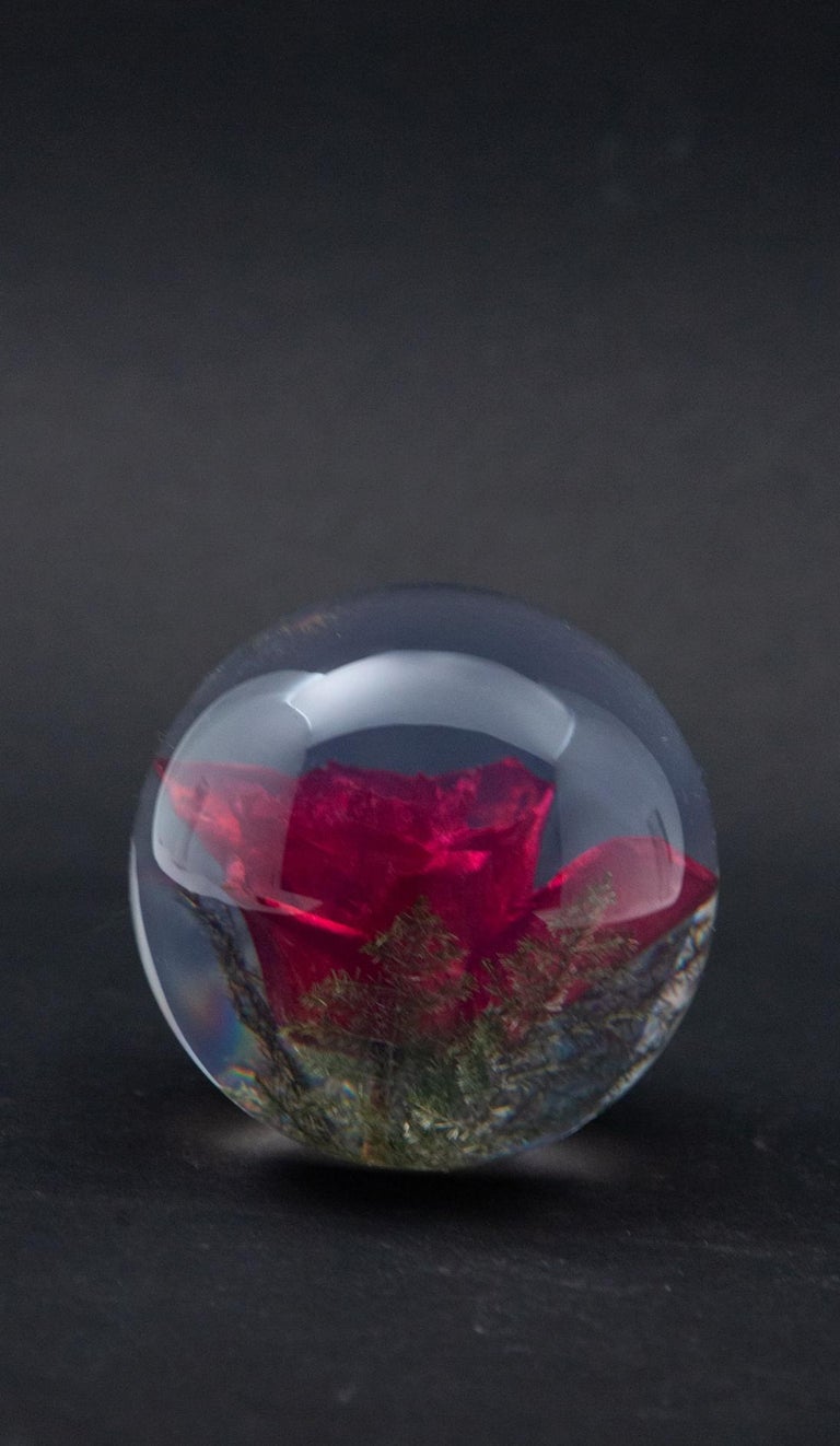 Red Rose Paperweight For Sale at 1stDibs | rose paper weight
