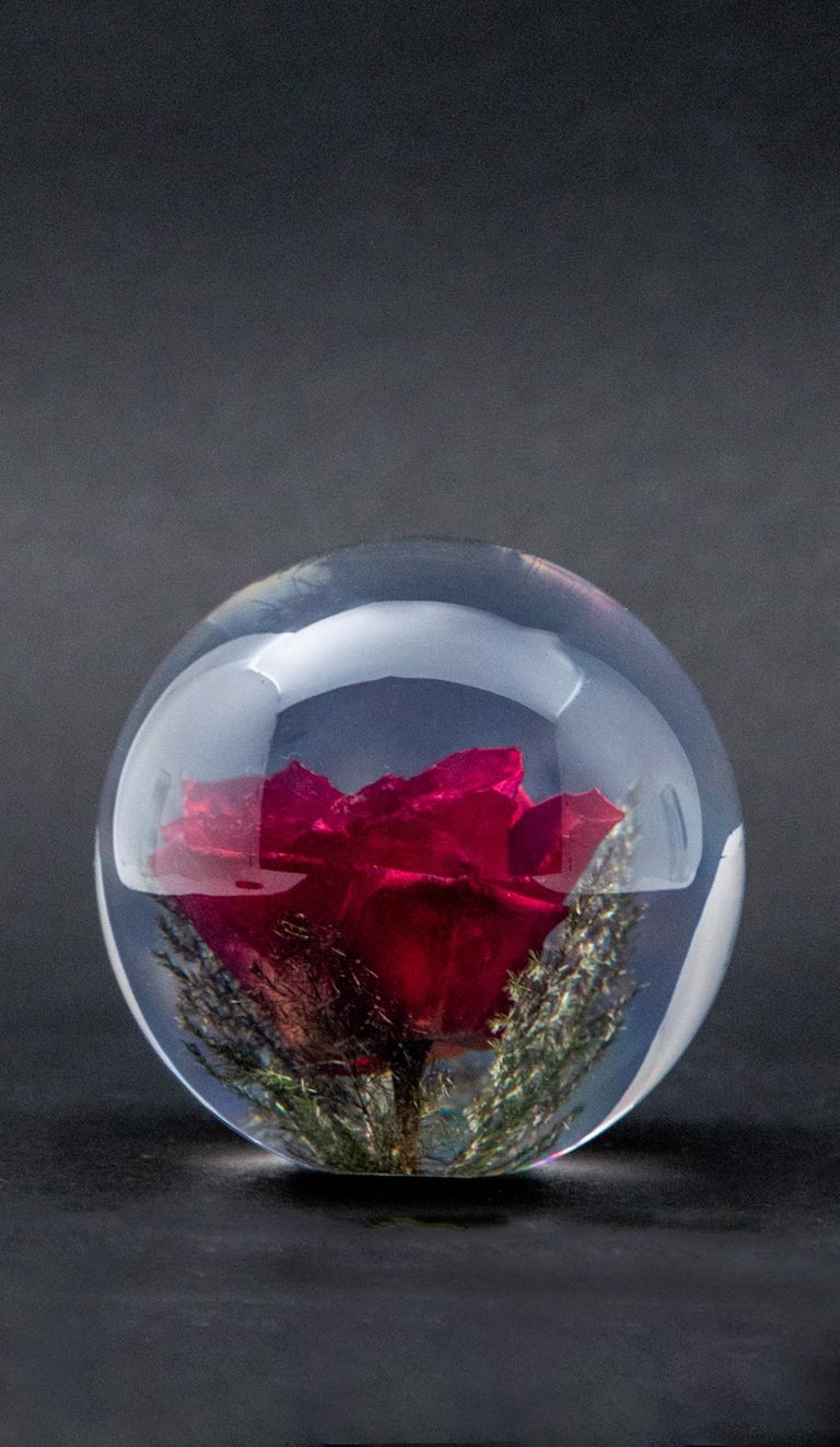 Red Rose Paperweight For Sale at 1stDibs | rose paper weight