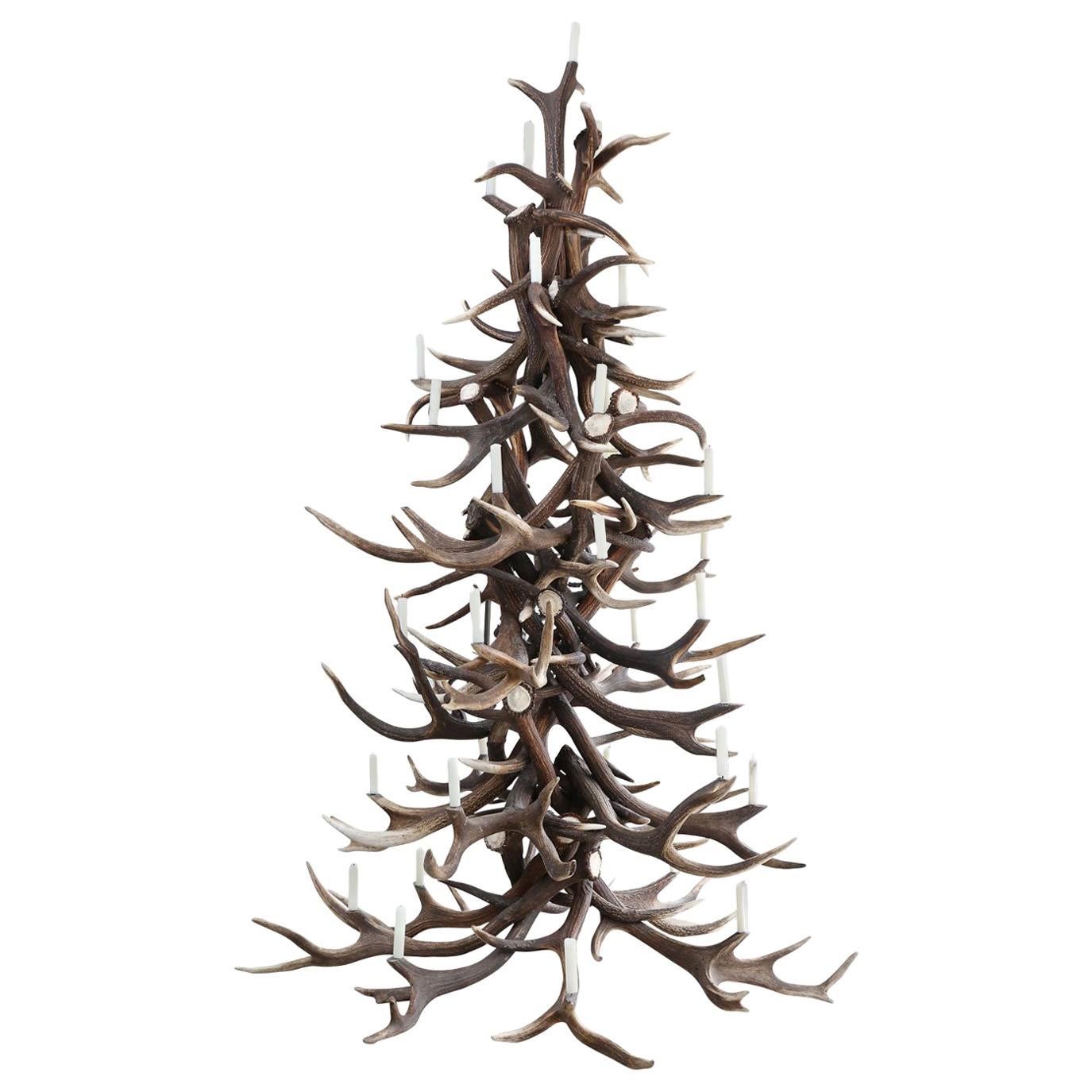 Red Stag Antler Tree at 1stDibs