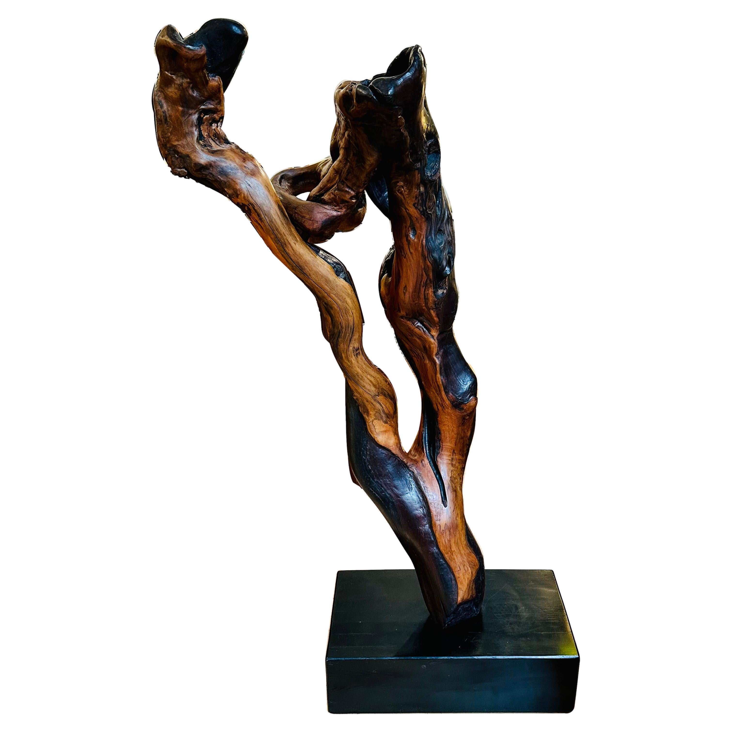 Old Natural Burl Root Tree Form Sculpture at 1stDibs | root wood for sale